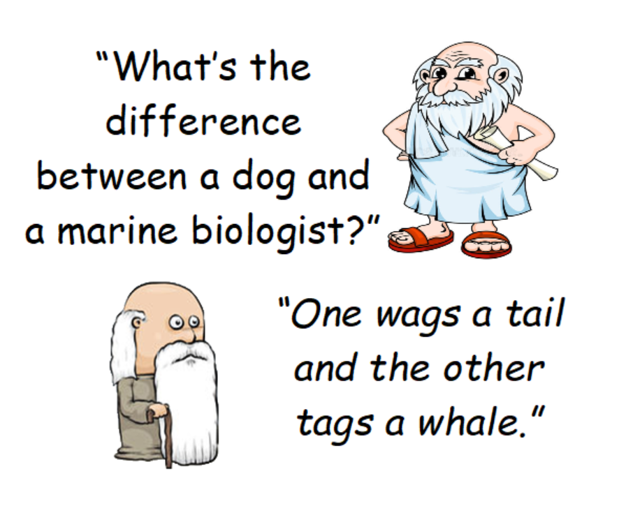 Joke of the Day: Science – The Sage Page