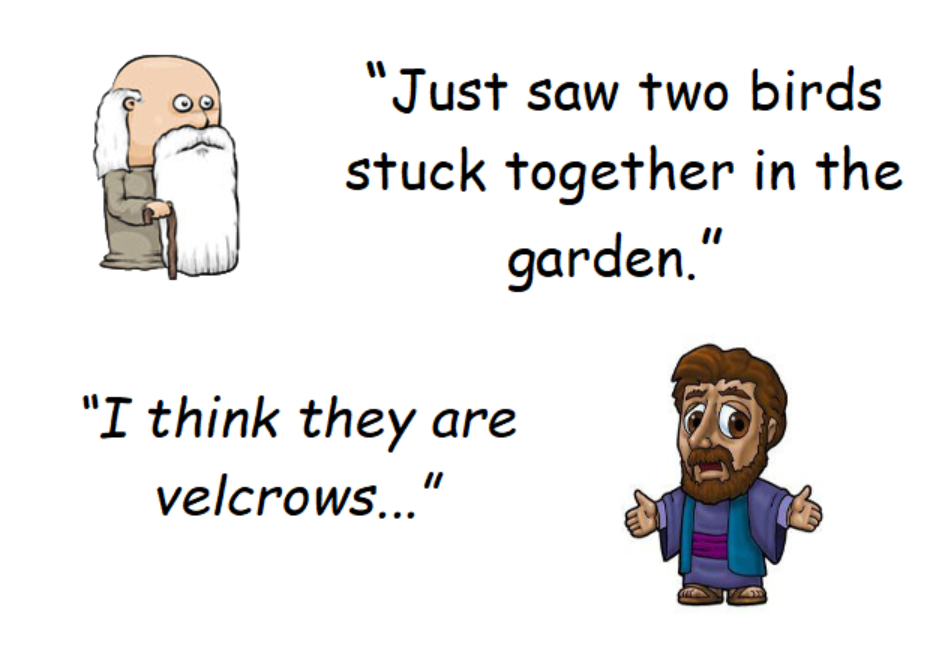 Bird Jokes – The Sage Page