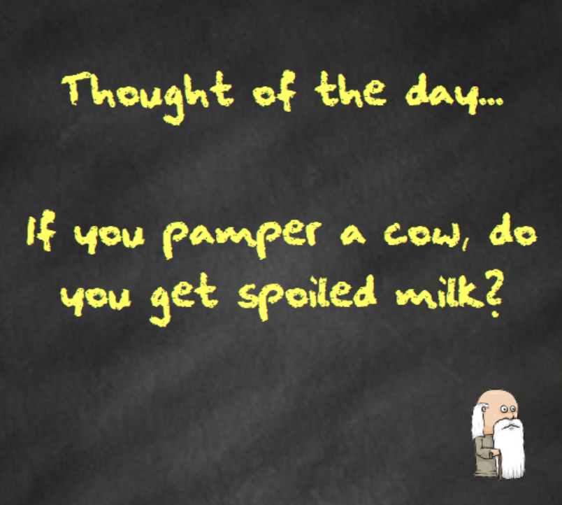 Thought of the Day: Pampered Cows – The Sage Page