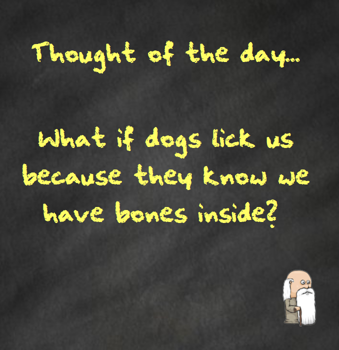 Dog Lick Quotes Golden Retrievers: Why These Positive Pups Are The